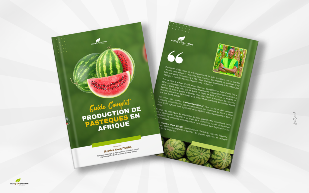 Culture de pastèques — Agrievolution